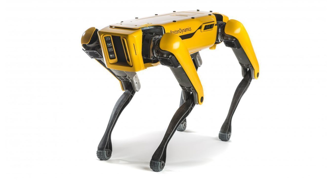 Spot Boston Dynamics 3D model | CGTrader