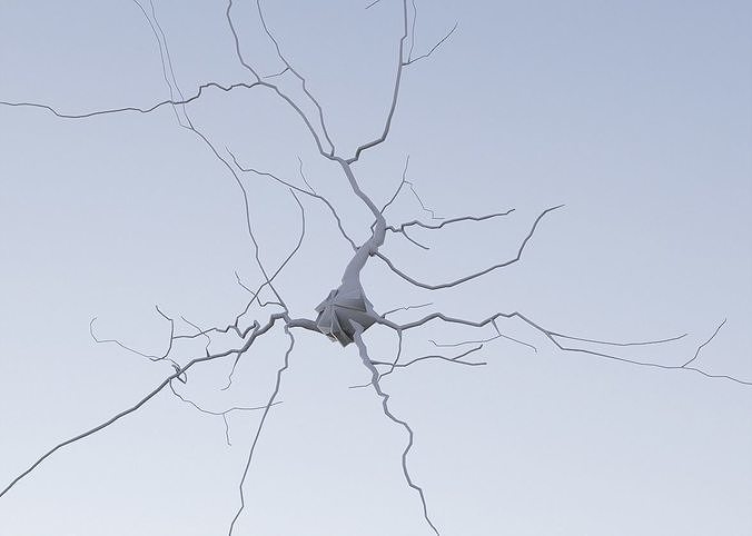 3D Neuron Model-01 3D model animated | CGTrader