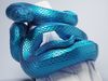 Blue Snake 3D model 3D printable | CGTrader