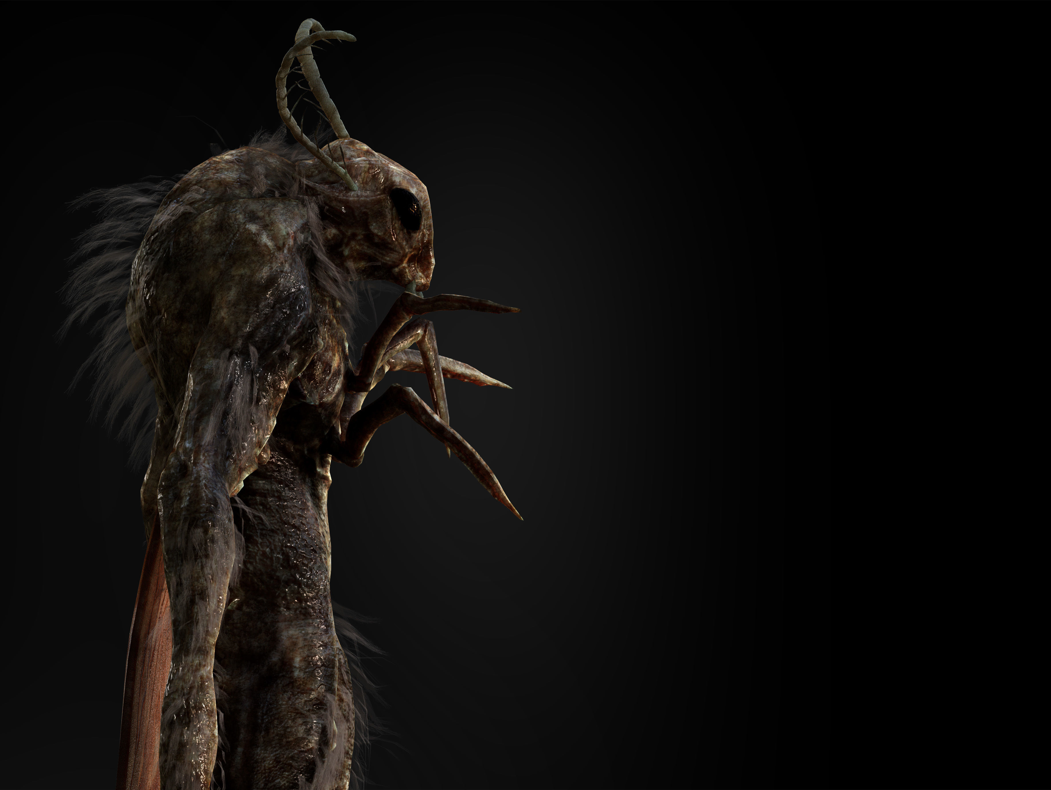 3D model Mothman VR / AR / low-poly | CGTrader