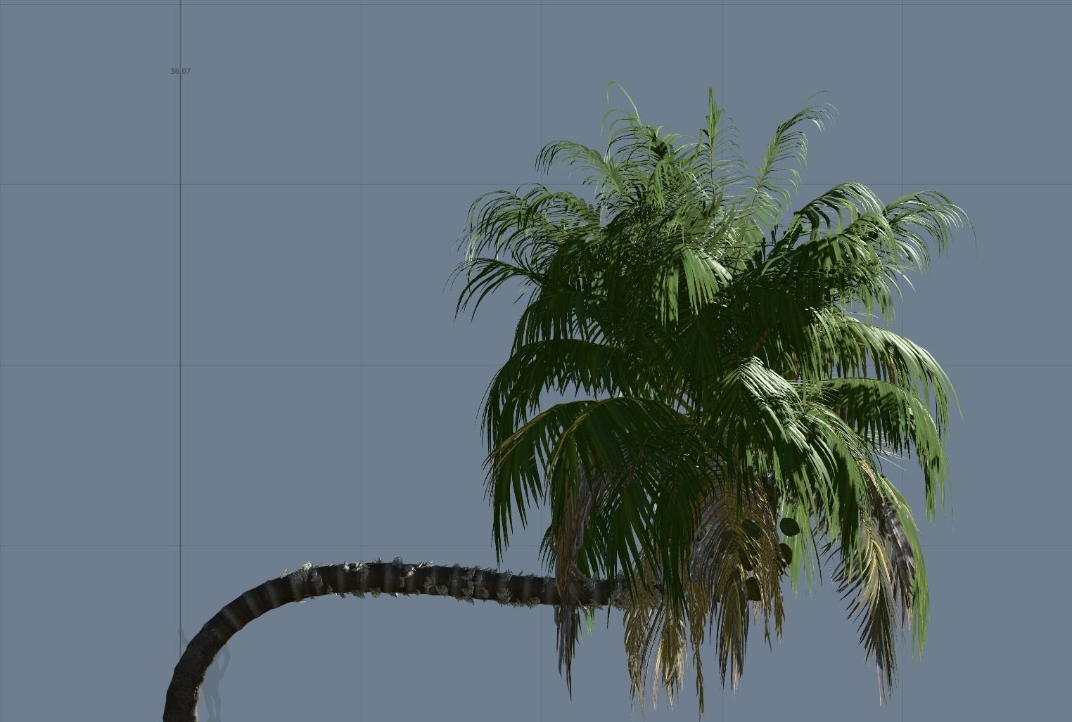 5 High quality Coconut Tree Pack 3D model | CGTrader