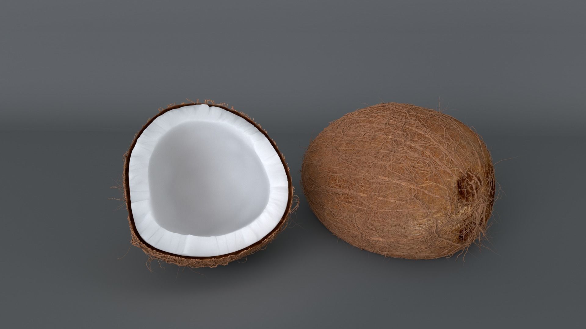 coconut model coconut pulp 3D model | CGTrader