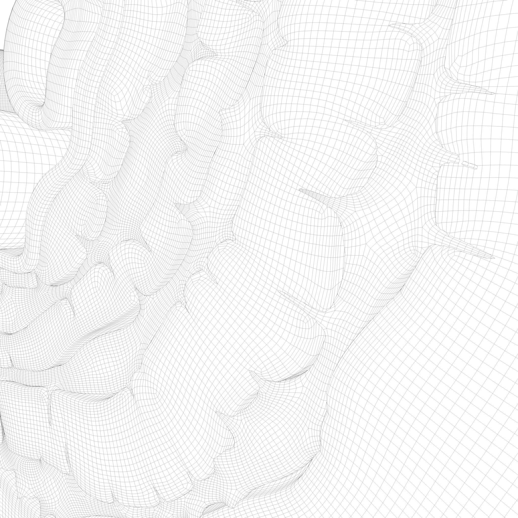 Osteocyte in compact bone Osteon 3D model | CGTrader