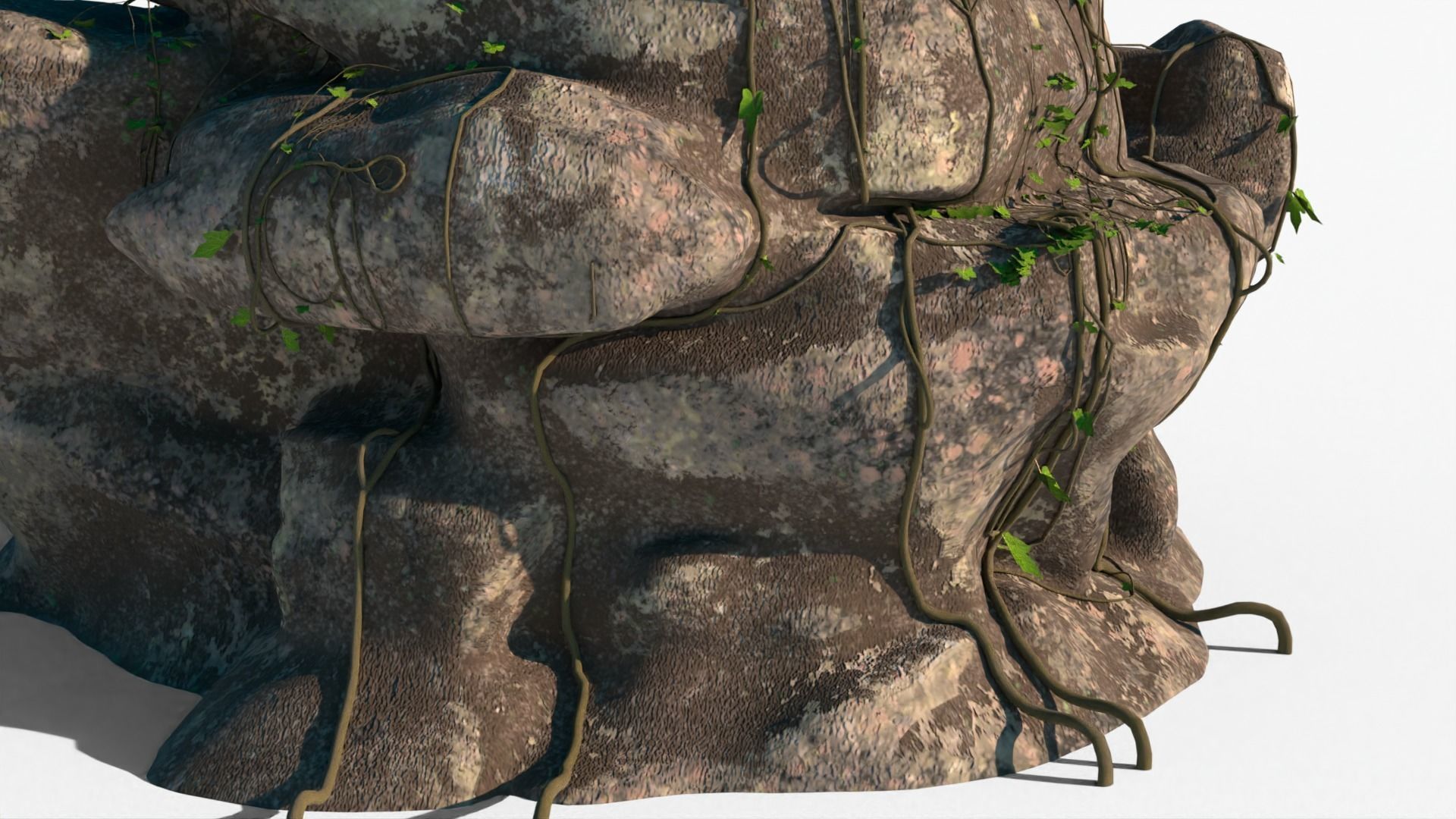 realistic Rock Ivy Low-poly 3D model | CGTrader