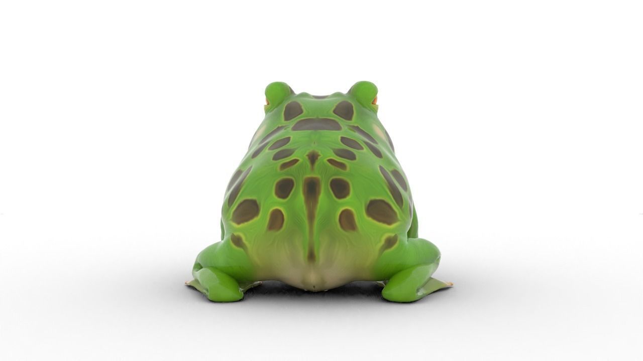 3D model stylized frog animation VR / AR / low-poly | CGTrader