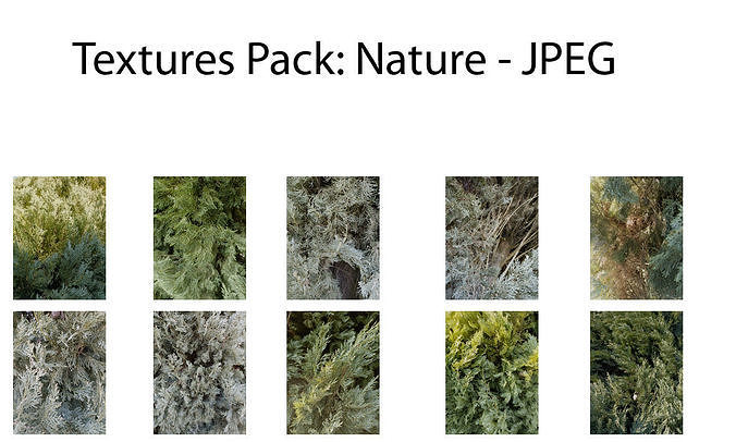 Nature Textures Pack 7 Texture | CGTrader