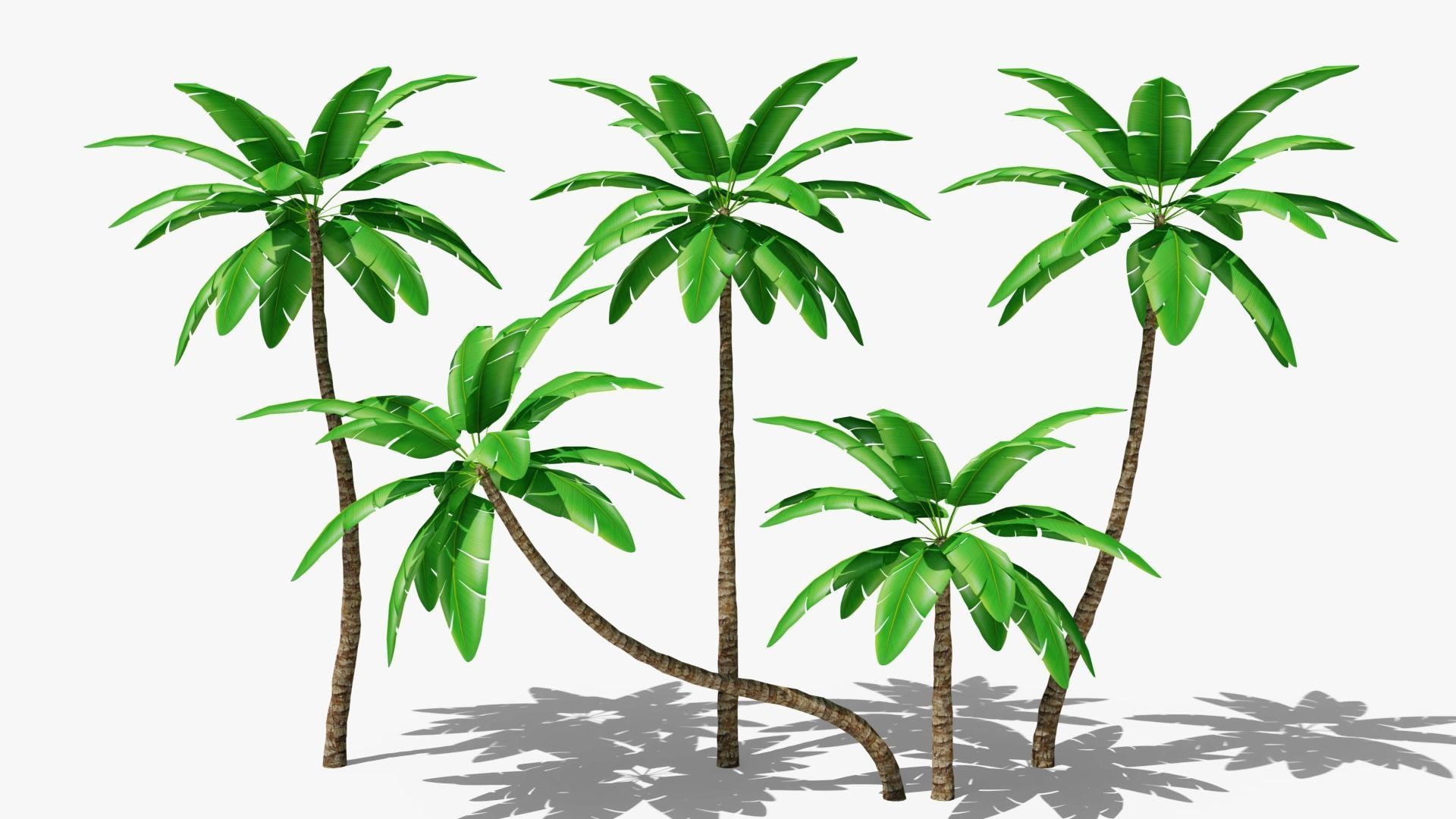 3D Model Collection Stylized Cartoon Palms Set VR / AR / low-poly ...