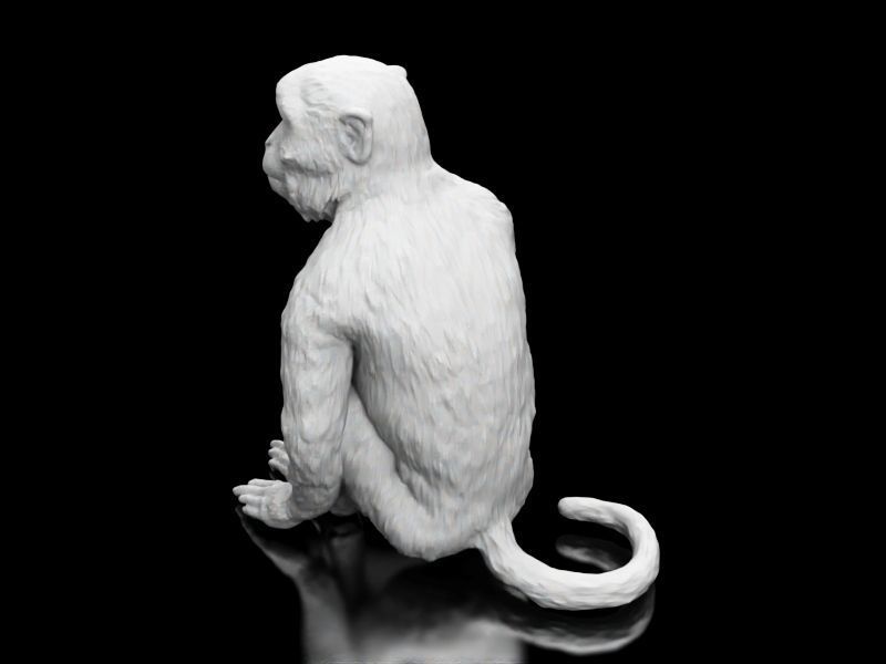 Long Tailed Monkey 3D model 3D printable | CGTrader