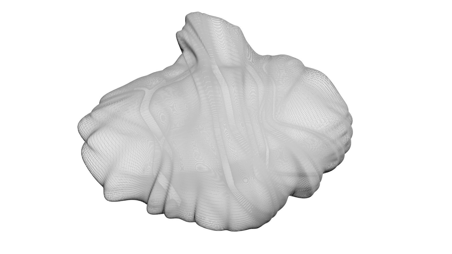 Chicken Brain 3D model | CGTrader