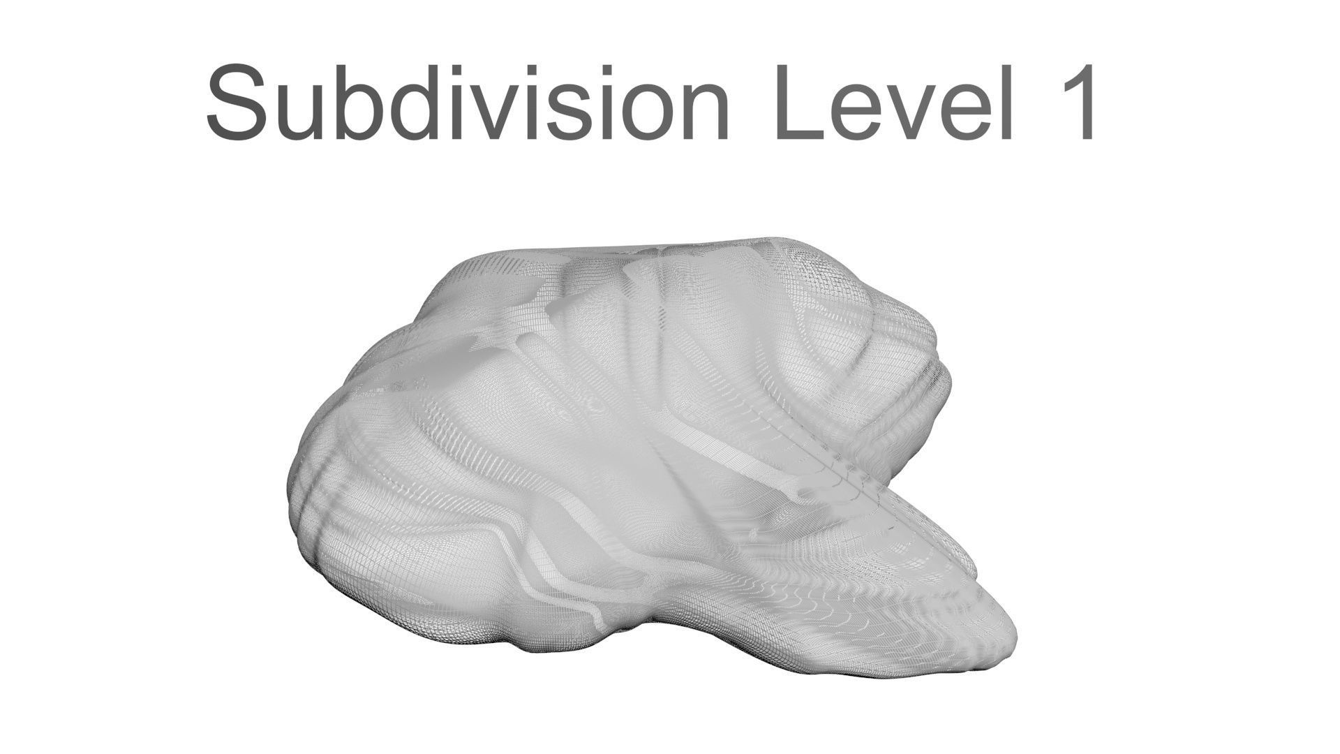 Chicken Brain 3D model | CGTrader