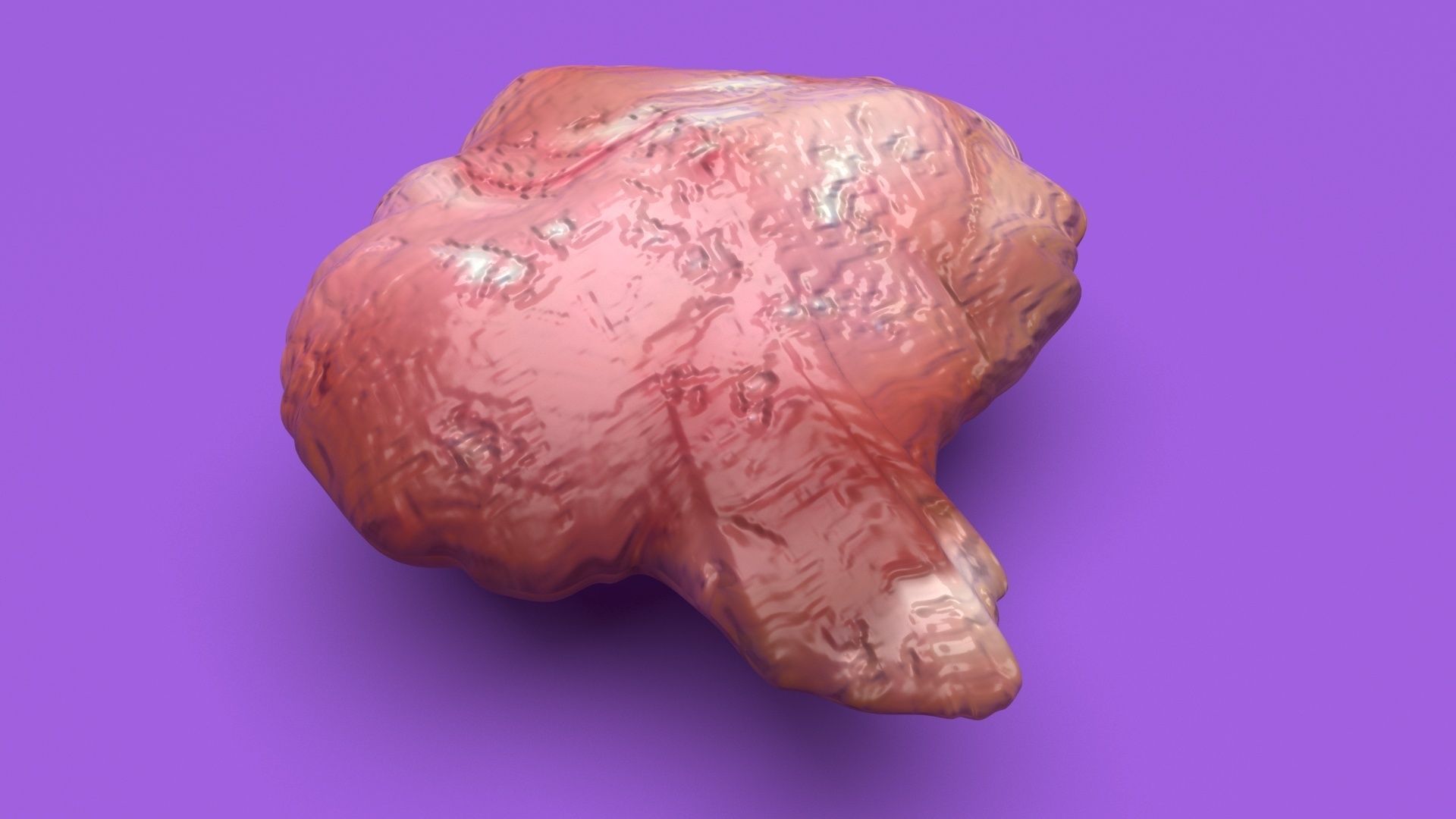 Chicken Brain 3D model | CGTrader