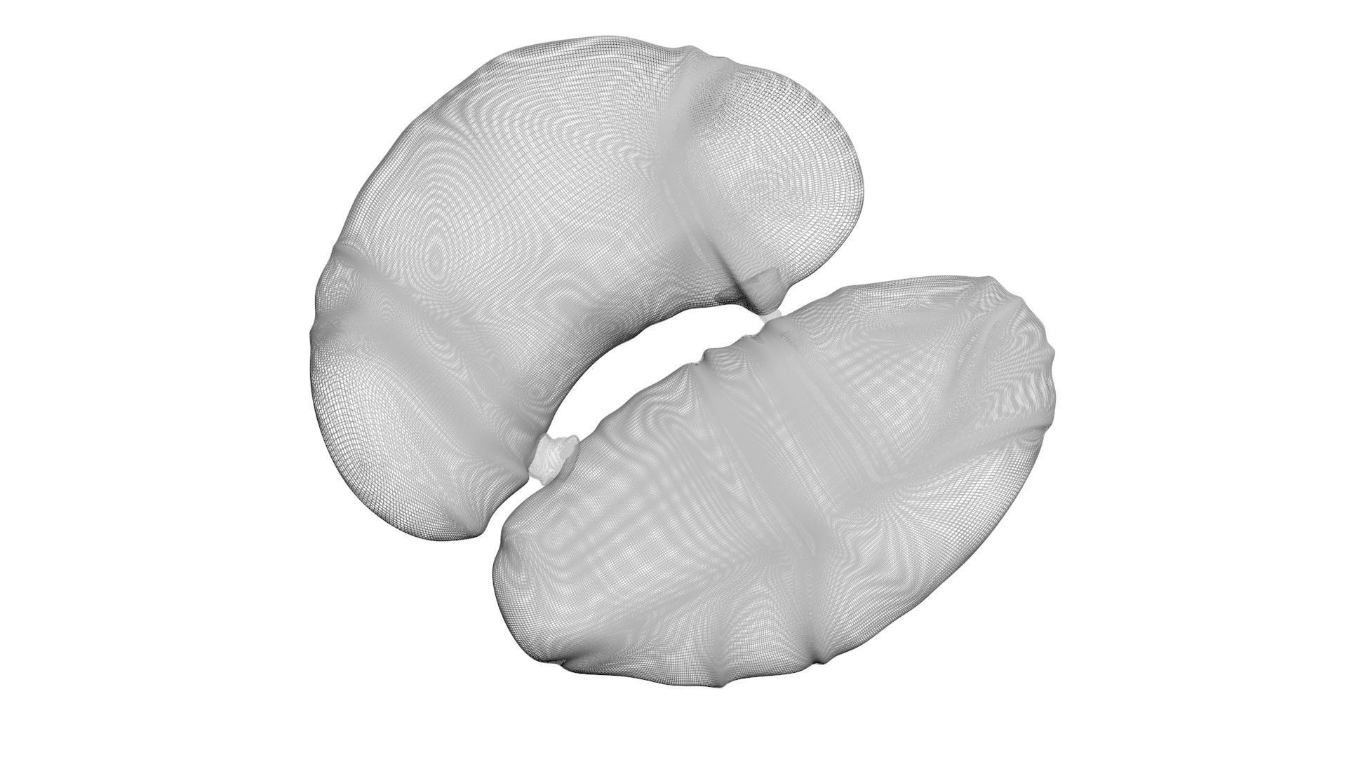 Chicken Kidneys 3D model | CGTrader