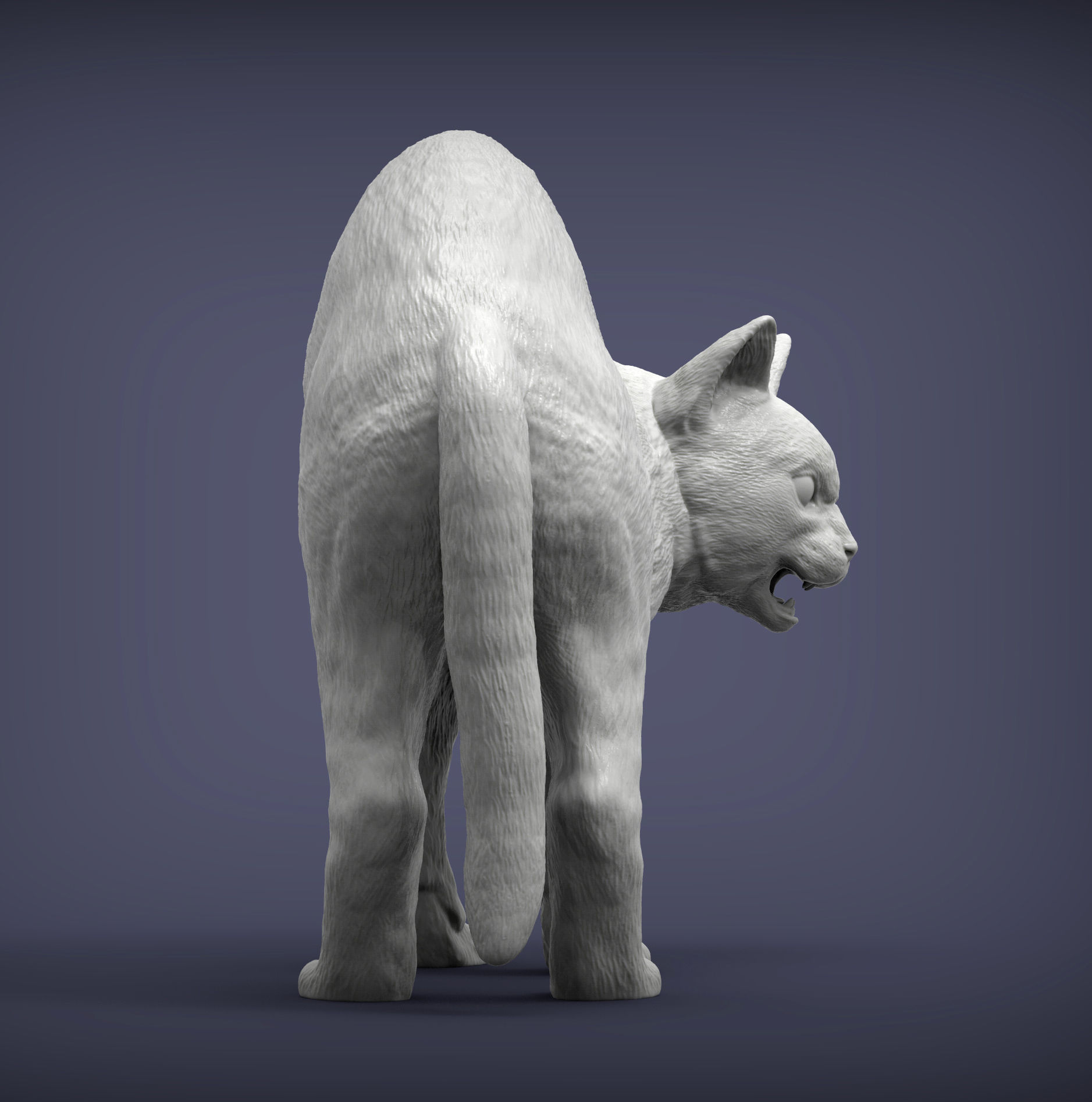 aggressive cat 3D model 3D printable | CGTrader