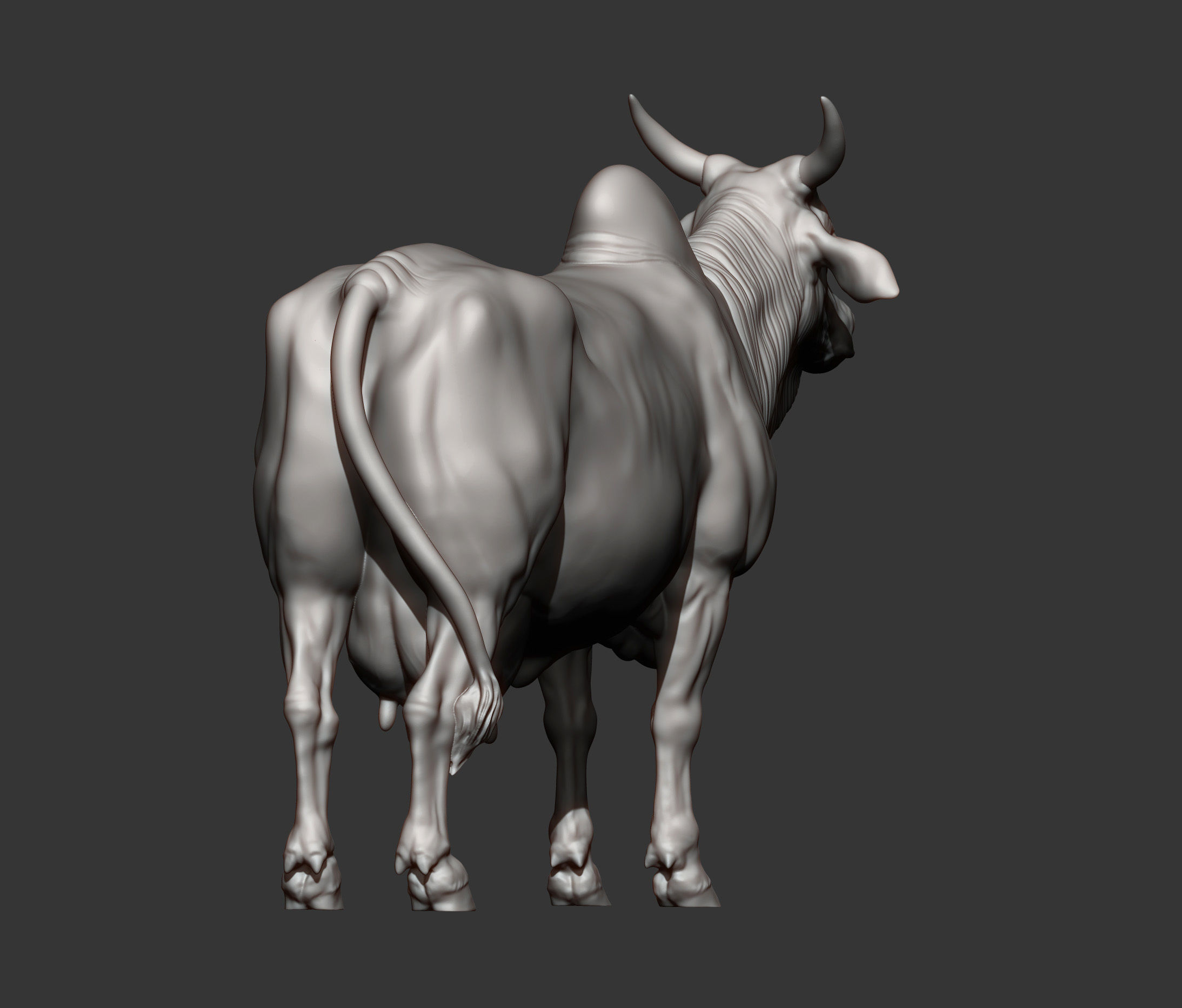 Indian cow 3D model 3D printable | CGTrader