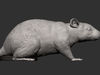 Rat 3D print model 3D model 3D printable | CGTrader