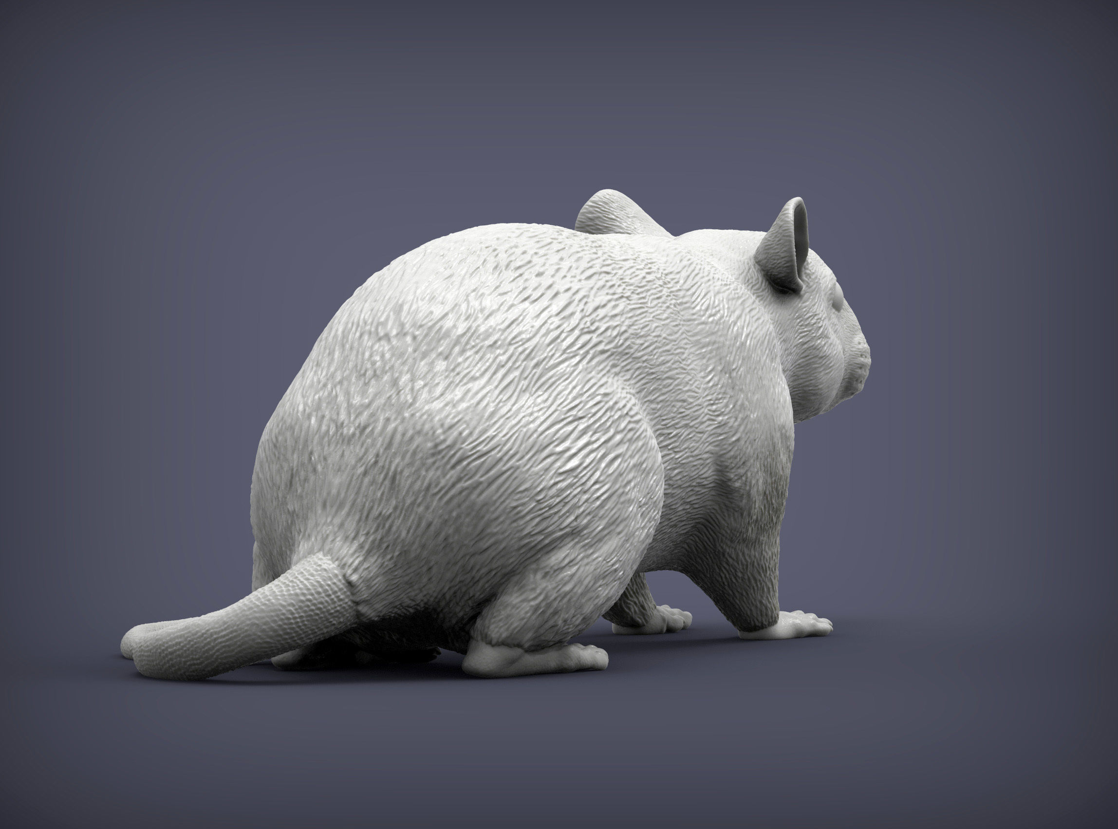 Rat 3D print model 3D model 3D printable | CGTrader
