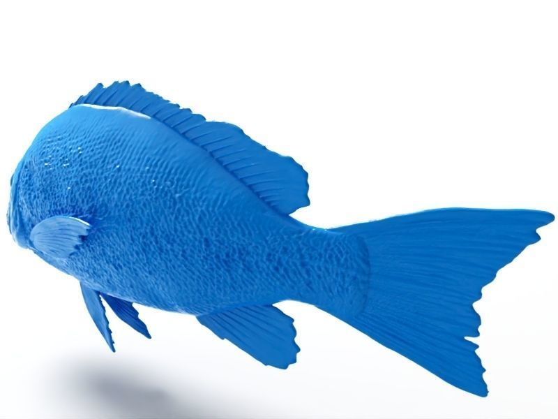Snapper fish 3D model 3D printable | CGTrader