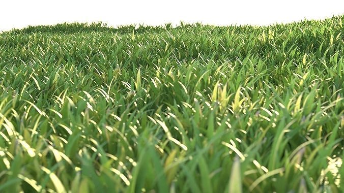 3D model Stylized Grass Pack 01 VR / AR / low-poly | CGTrader