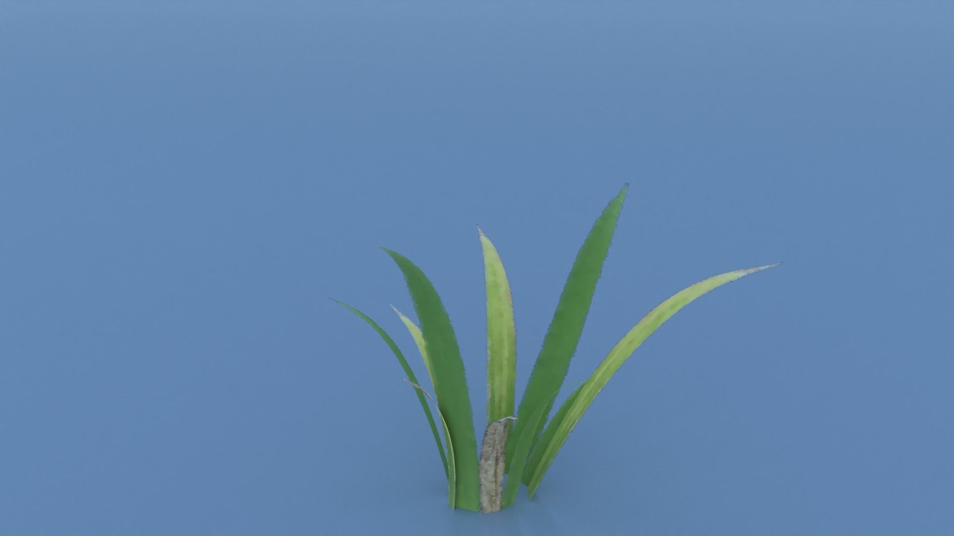 3D model Stylized Grass Pack 01 VR / AR / low-poly | CGTrader