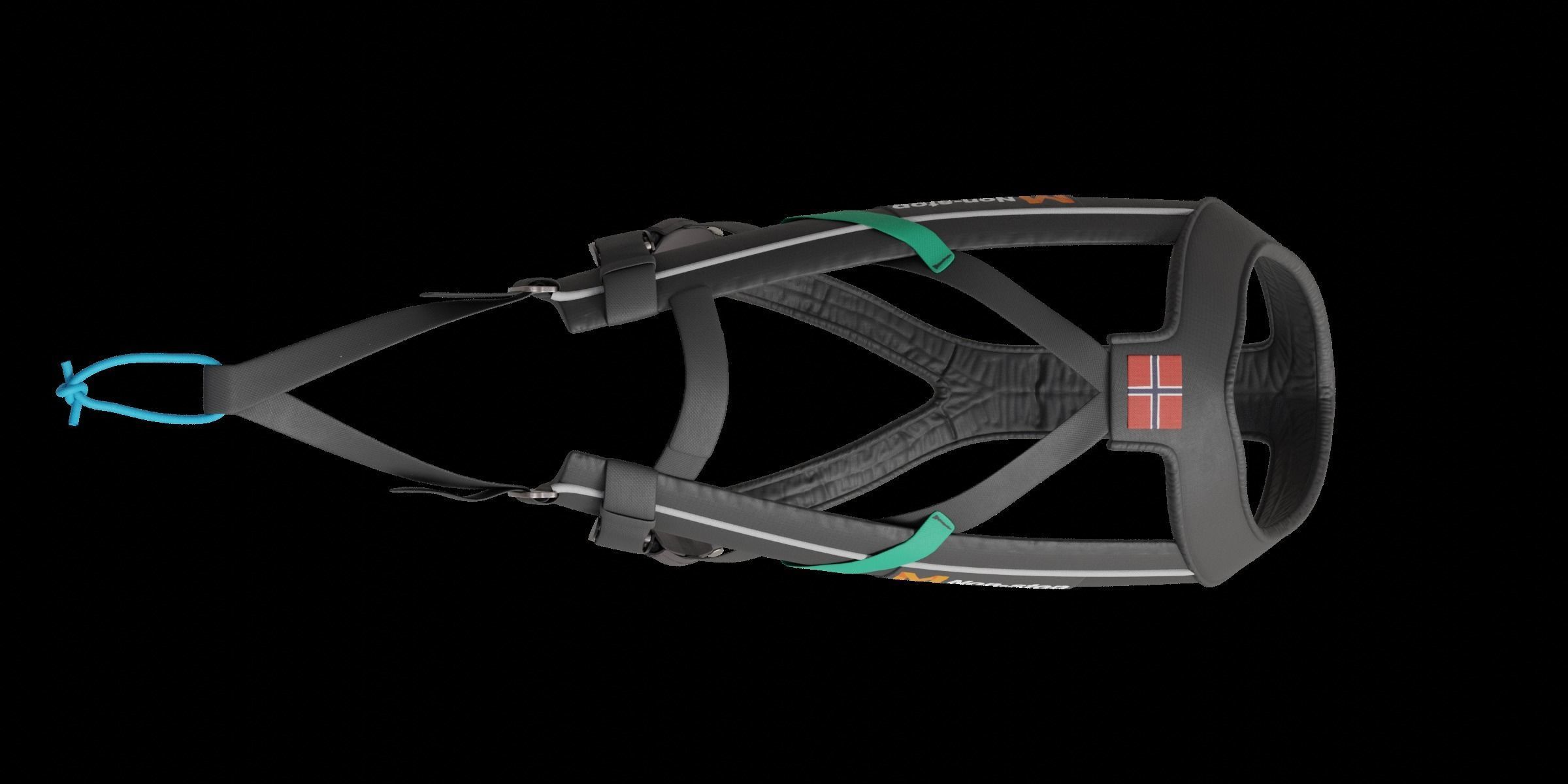 Dog Harness 3D model | CGTrader