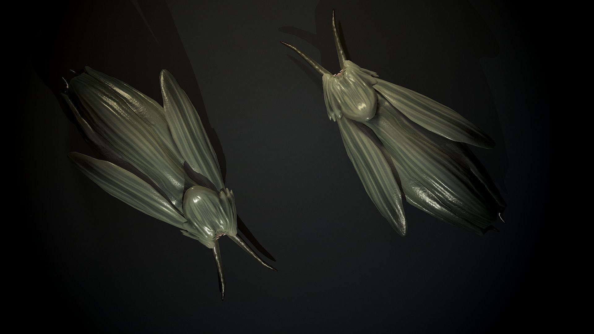 3D model Clam creature1 VR / AR / low-poly | CGTrader