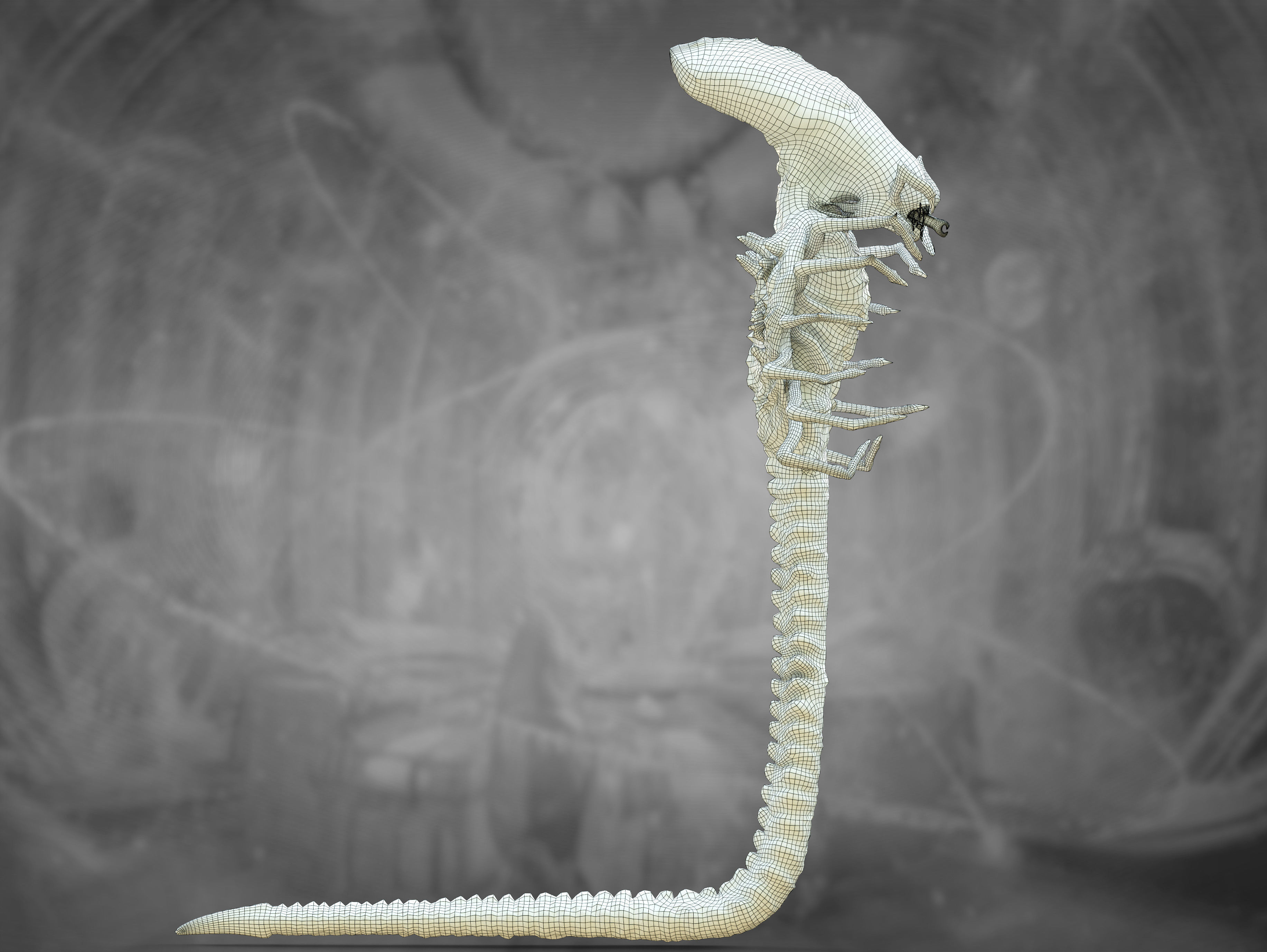 3D model Xenomorph Snake VR / AR / low-poly | CGTrader
