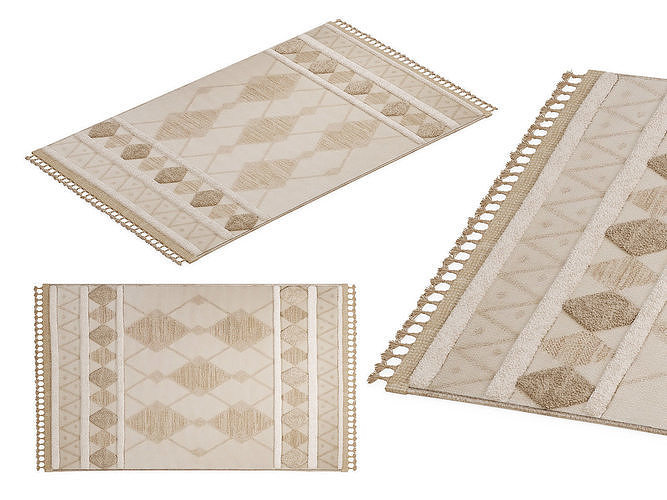 Rug Carney 3D model | CGTrader
