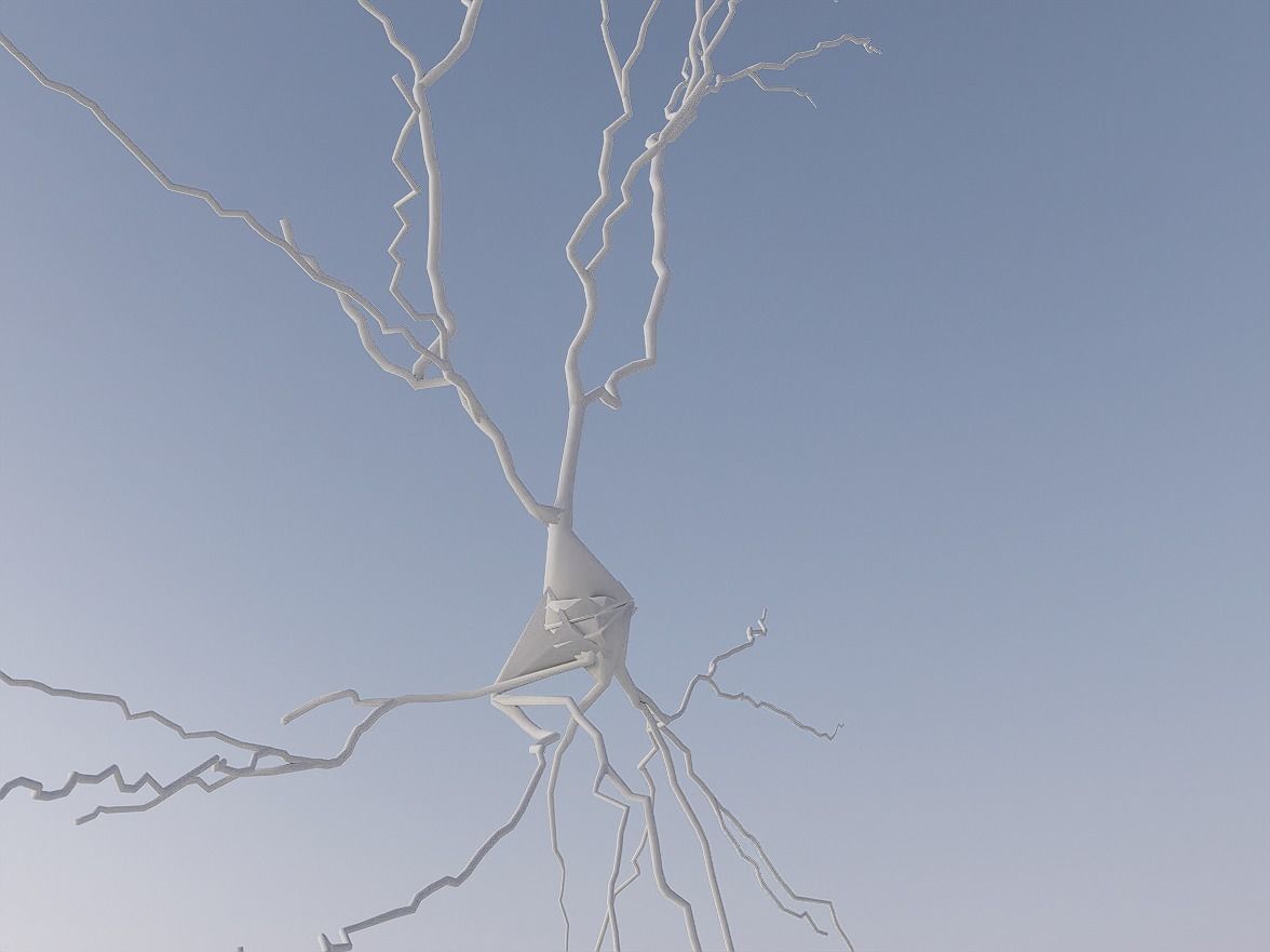 3D Neuron Model-12 3D model 3D model | CGTrader