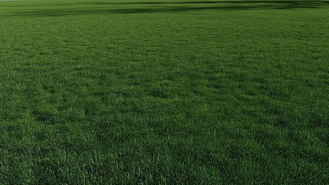 Perspective Grass Texture Large