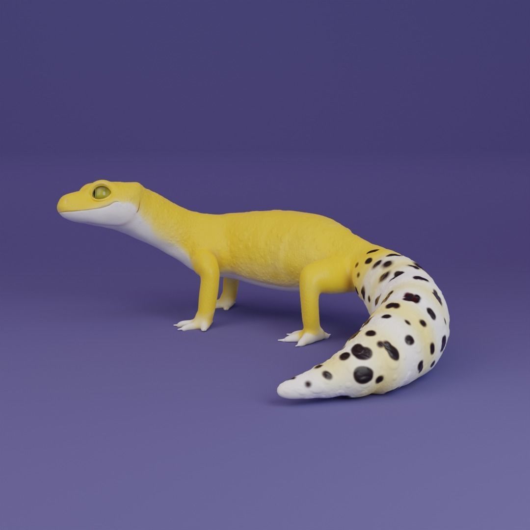 Leopard Gecko 3D model for printing figure 3D model 3D printable | CGTrader
