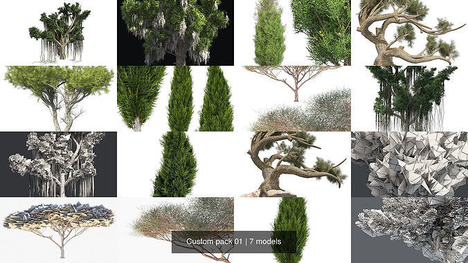 3D Model Collection Custom pack 01 VR / AR / low-poly | CGTrader