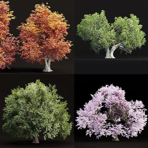Seasonal Trees collection vol 14 | CGTrader