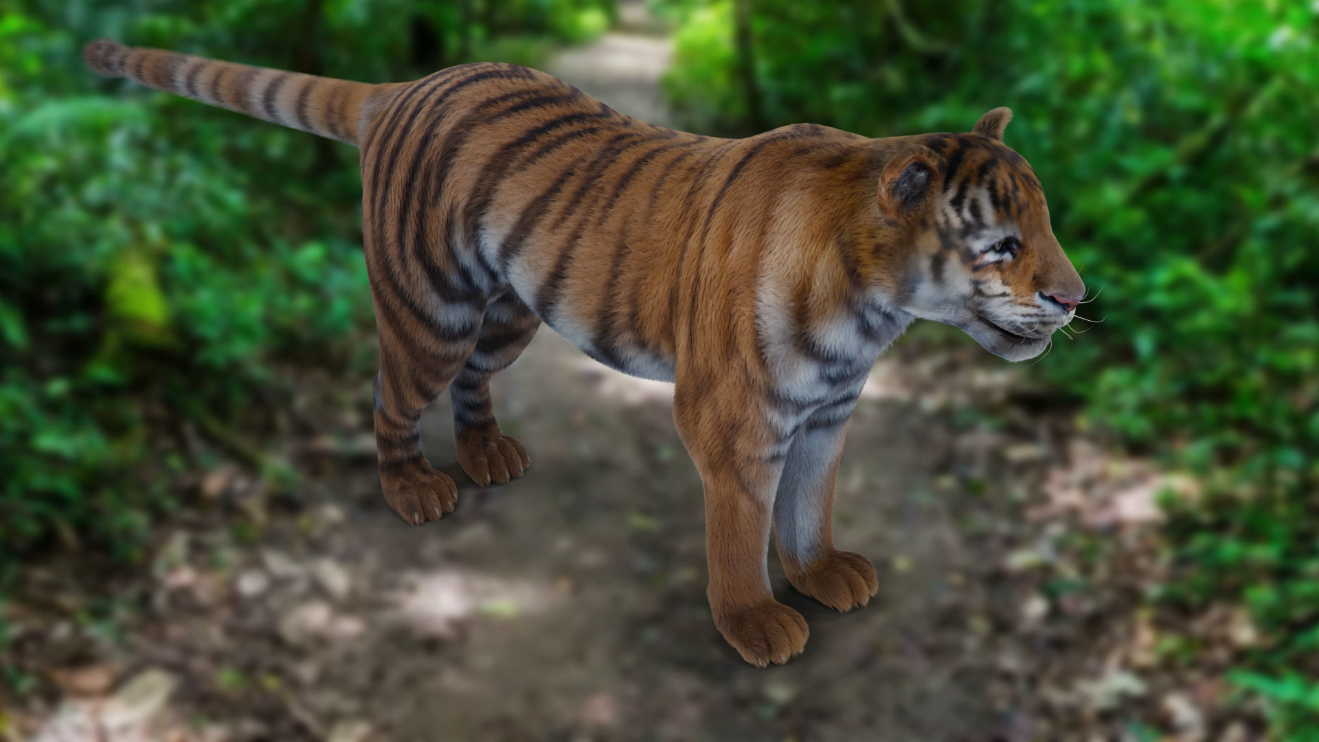 3D model Fur Tiger Rigged and Animation in Blender Unity VR / AR / low ...