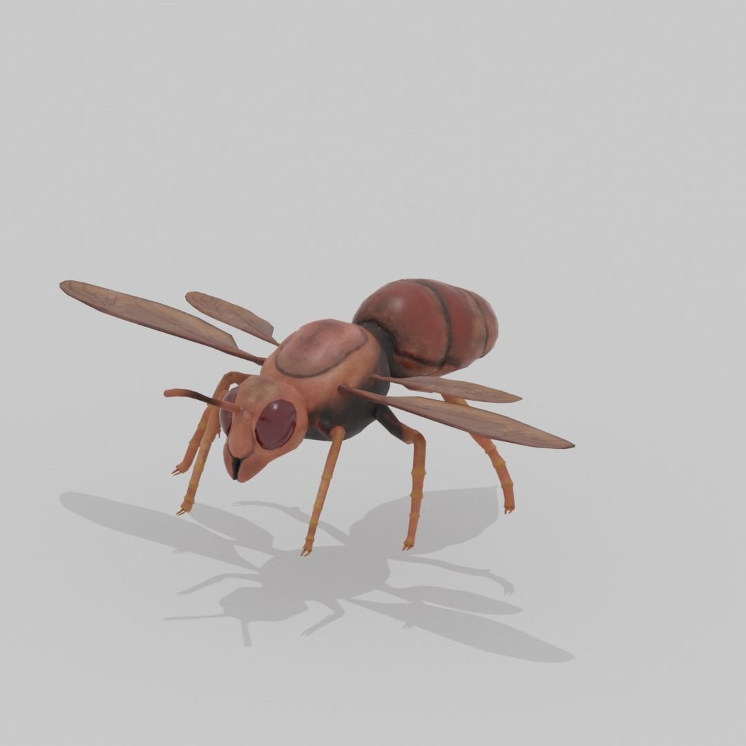 Wasp South American 3d Low poly free VR / AR / low-poly 3D model | CGTrader