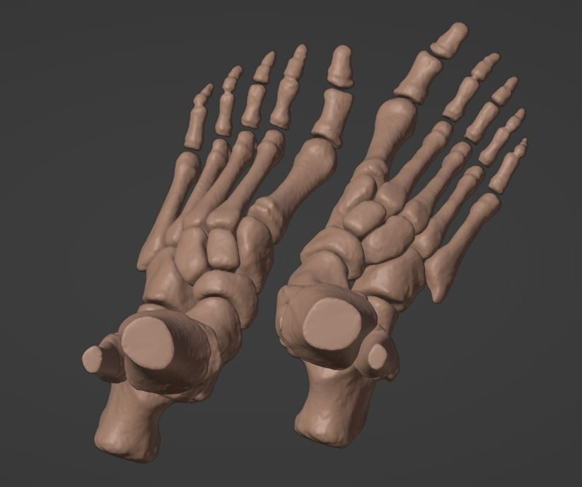 3D Model of Feet 3D model 3D printable | CGTrader