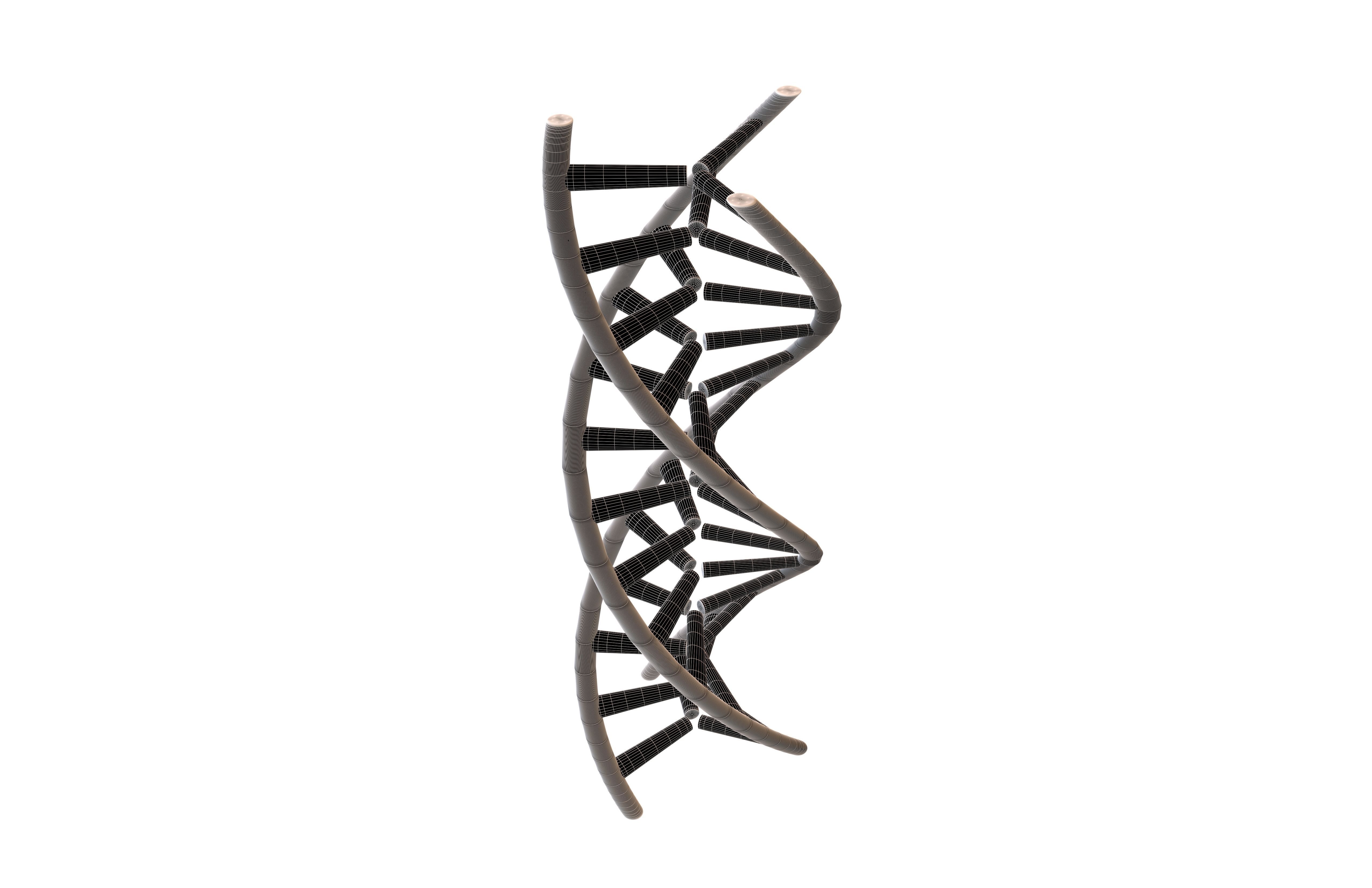 Triple Helix DNA v1 001 3D model | CGTrader