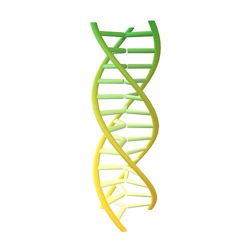 Triple Helix DNA v1 008 3D model | CGTrader