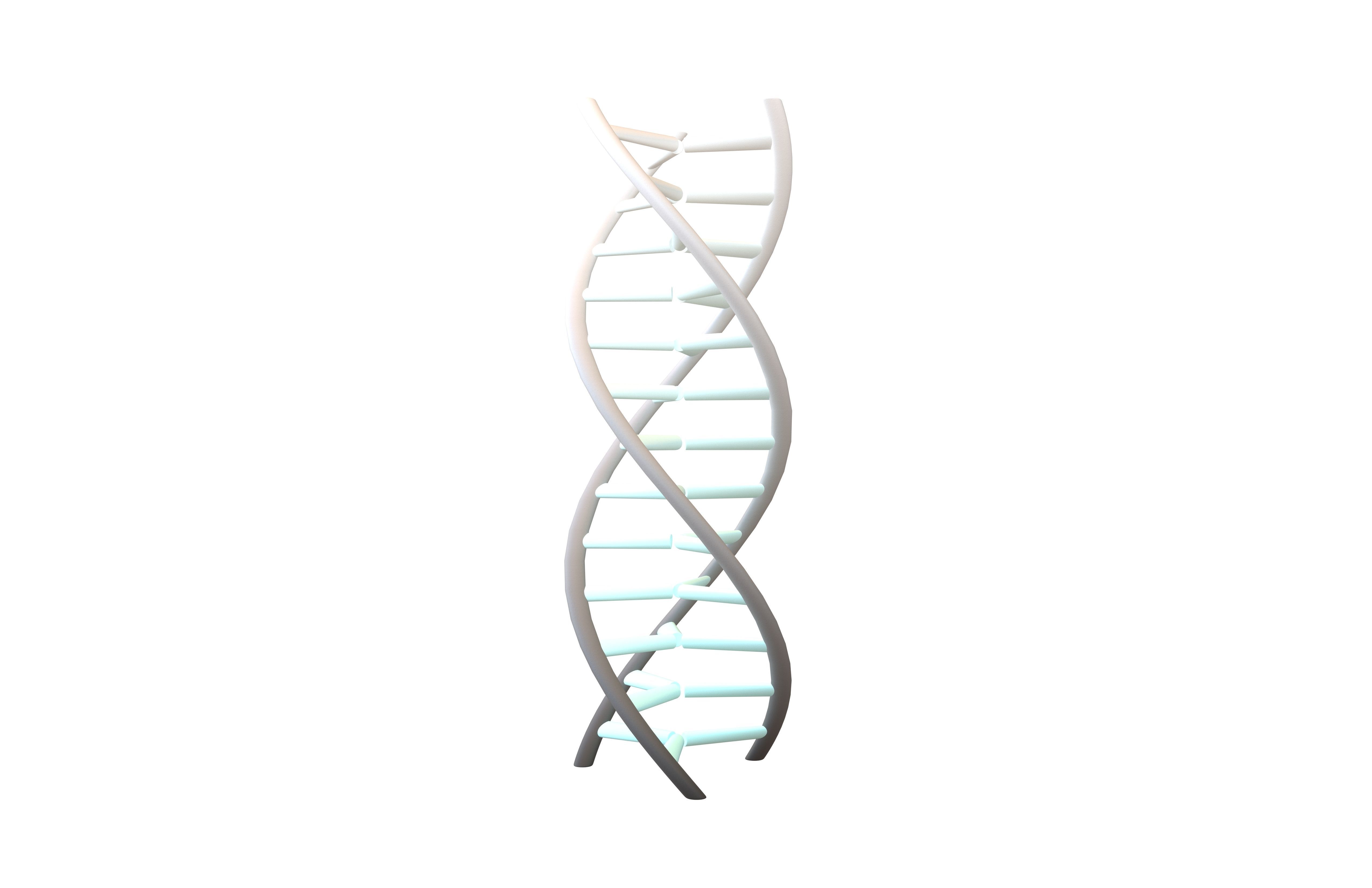 Triple Helix DNA v1 011 3D model | CGTrader