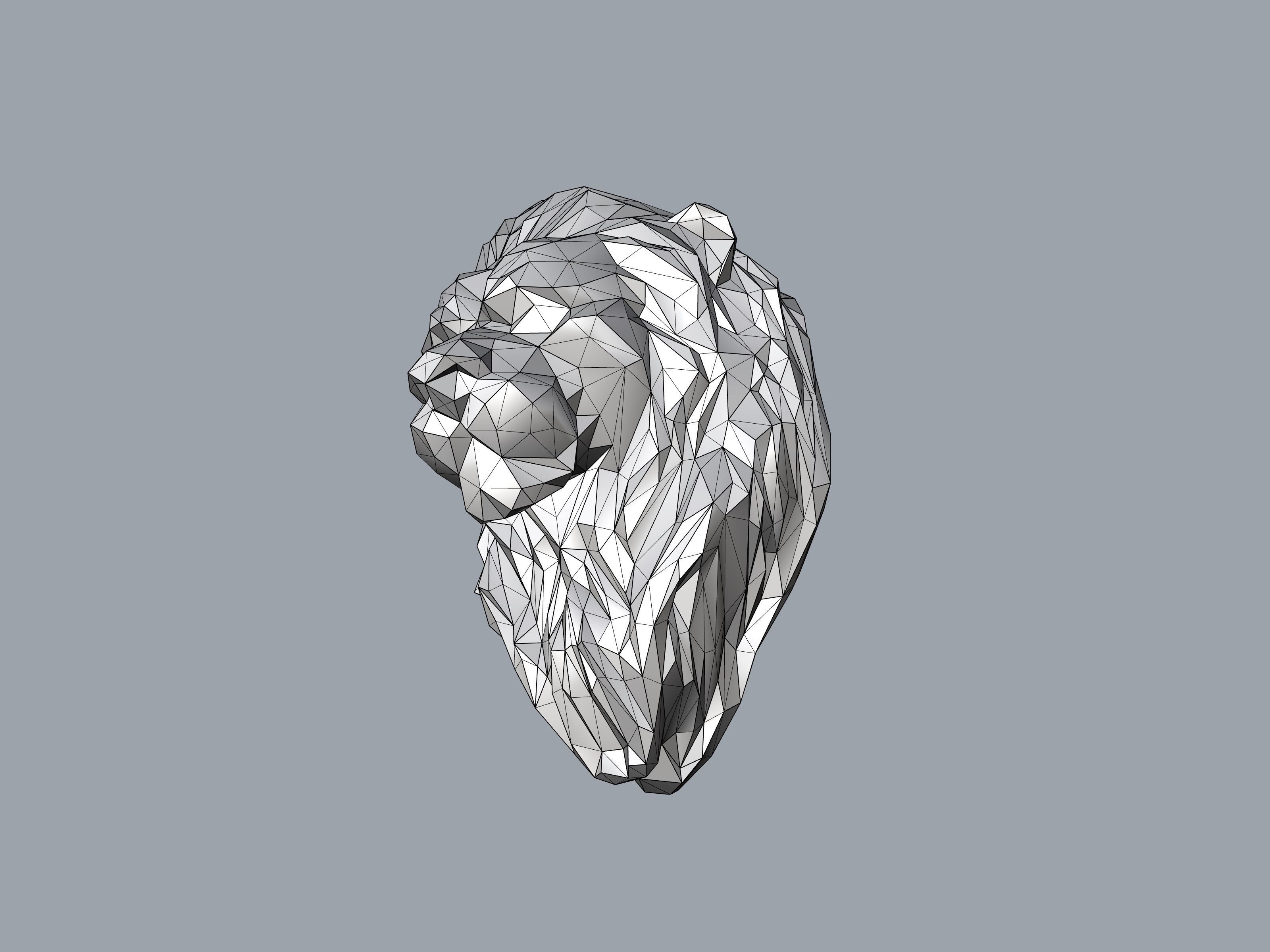Lion Face Low Poly Stl verified 3D model 3D printable | CGTrader