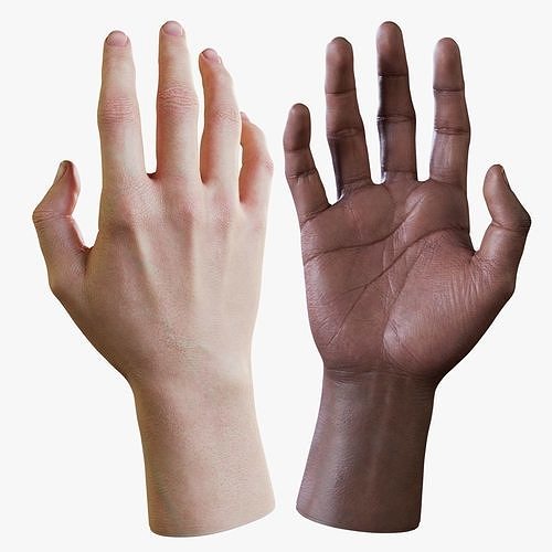 3D model Realistic Human Hand VR / AR / low-poly | CGTrader