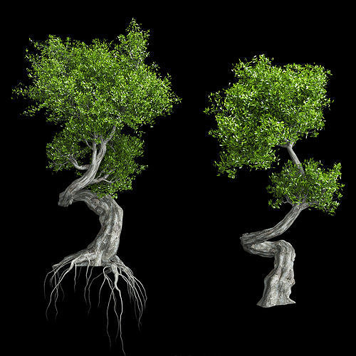 Stylized Tree 3D model | CGTrader