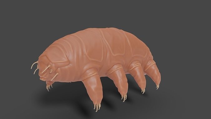 3D Tardigrade Sculpture Model 3D model | CGTrader