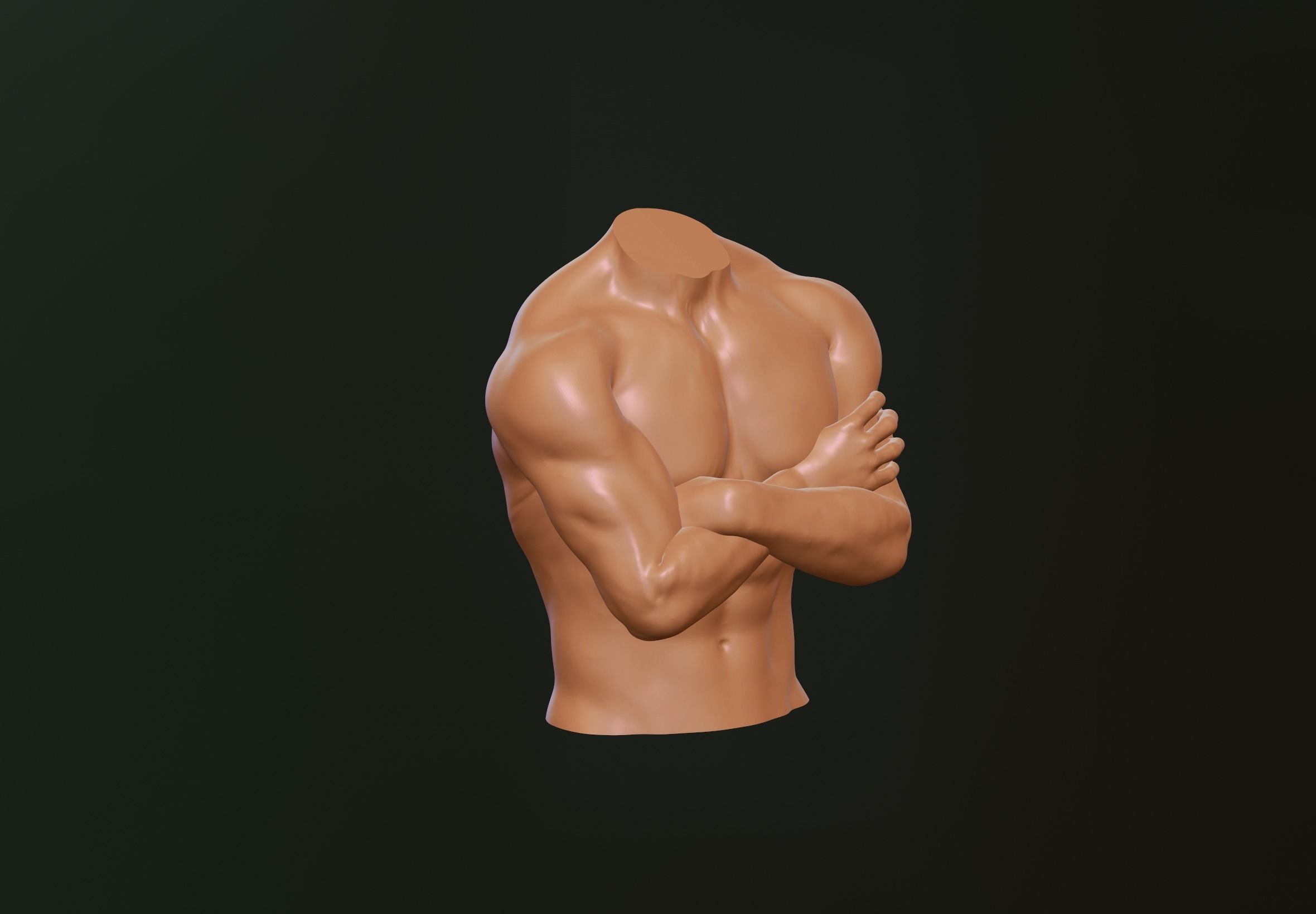 Male Torso Arms Crossed 3D model | CGTrader