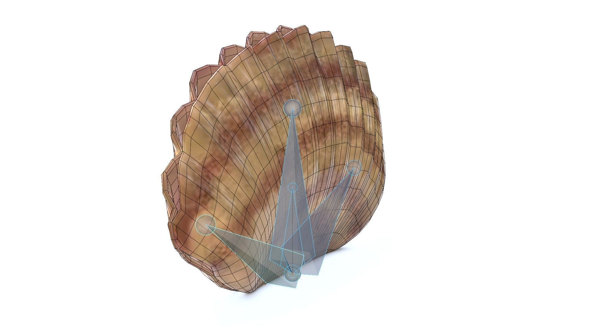 3D model seashell monster VR / AR / low-poly | CGTrader