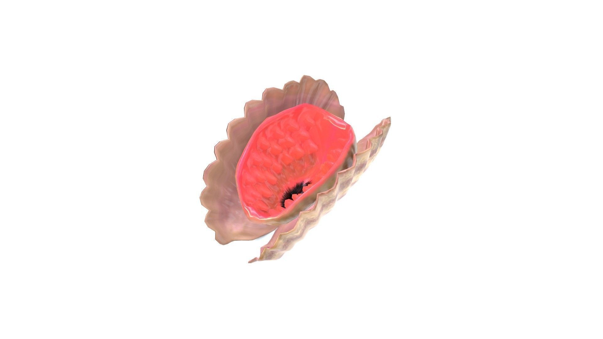 3D model seashell monster VR / AR / low-poly | CGTrader