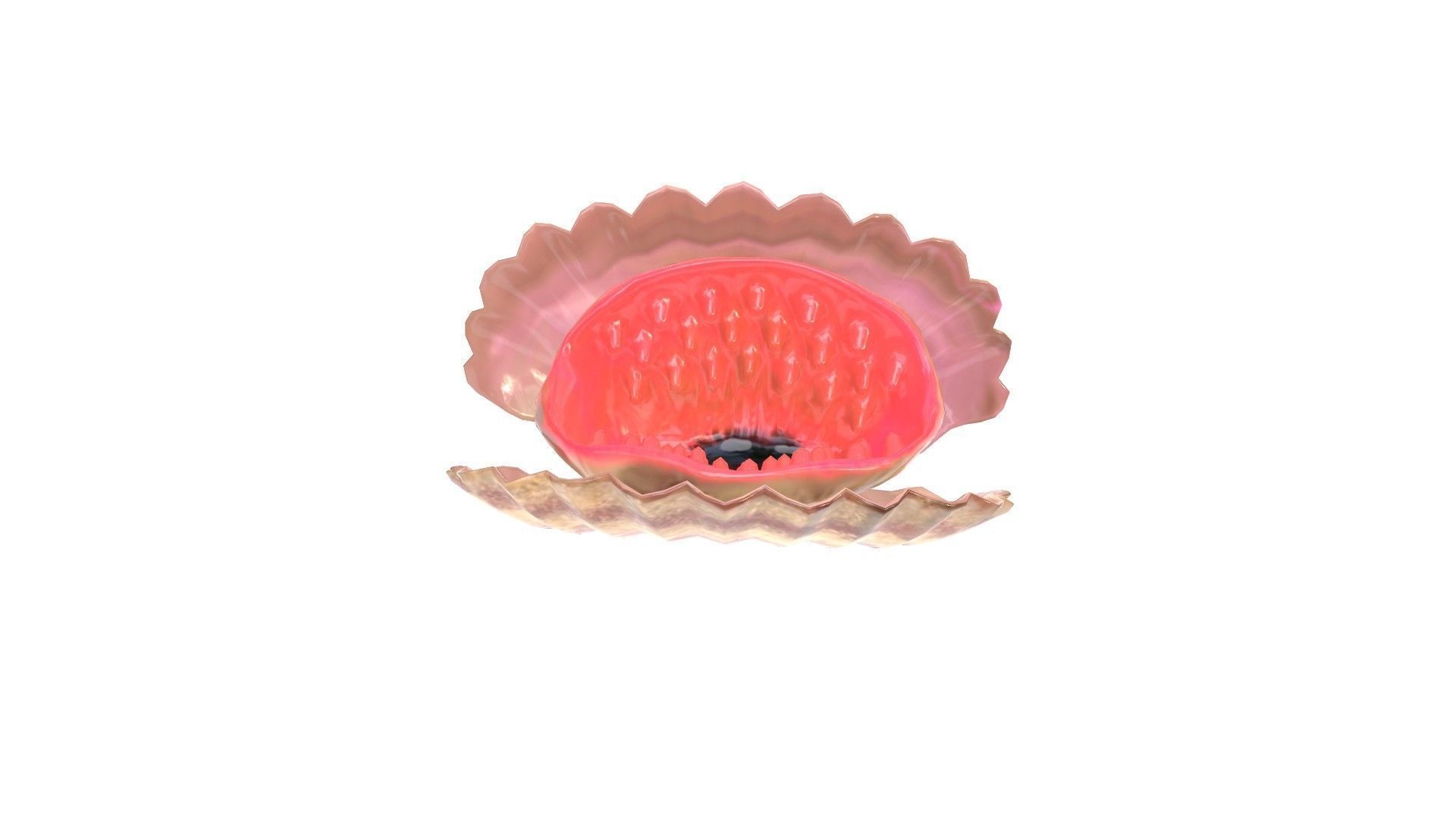 3D model seashell monster VR / AR / low-poly | CGTrader