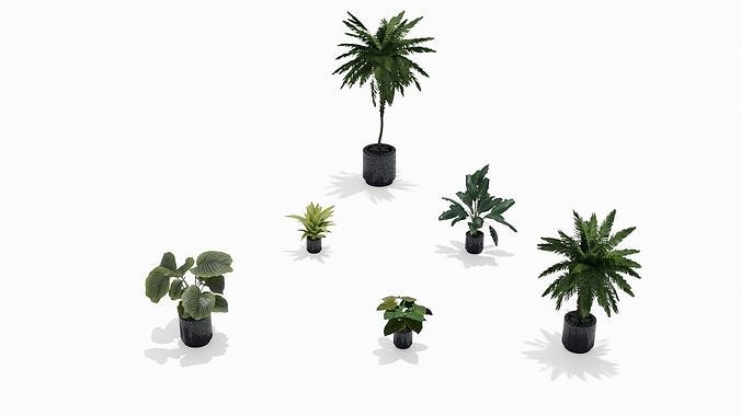 Plants in pots Collection 3Dmodel 3D model | CGTrader