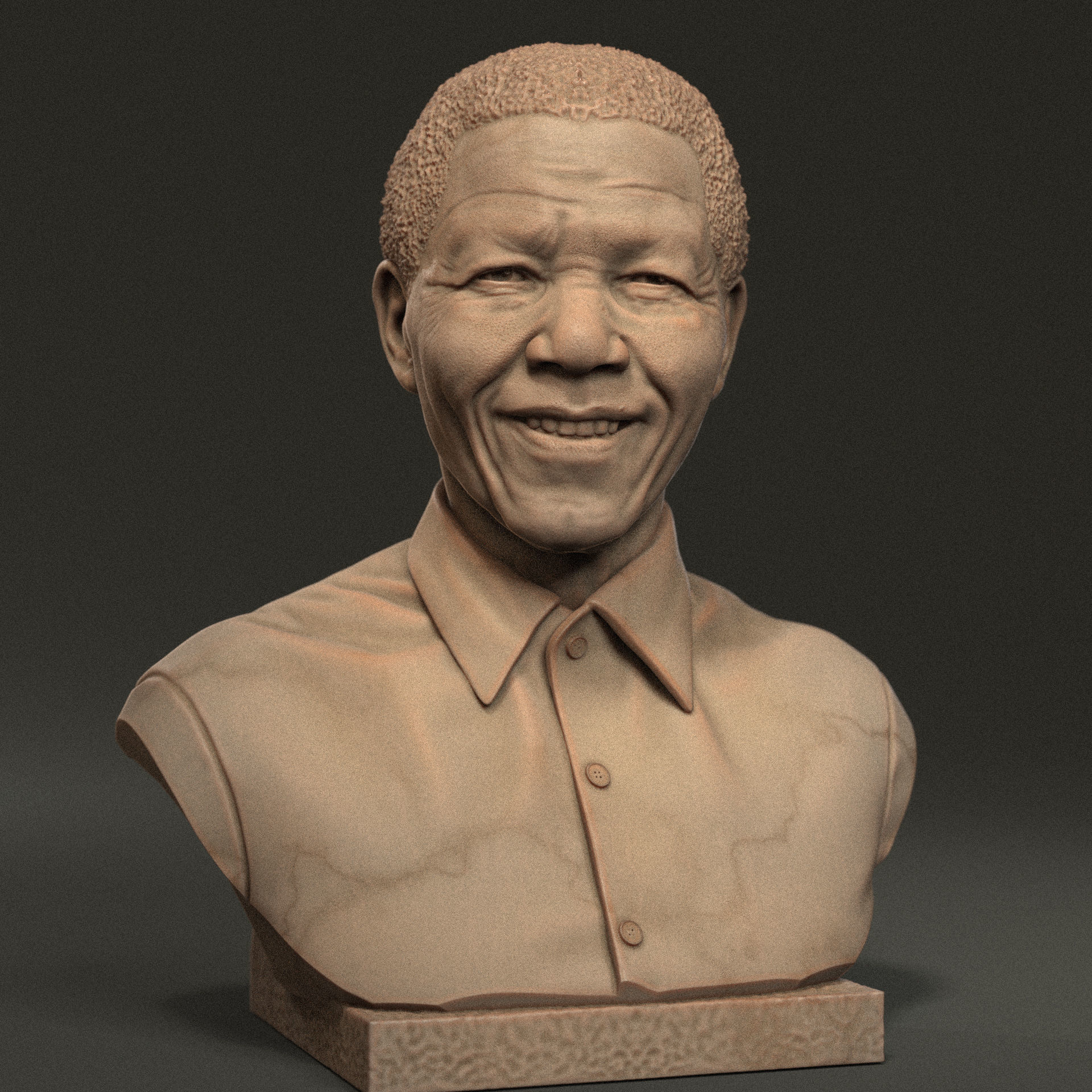 Nelson Mandela 3D model 3D printable | CGTrader