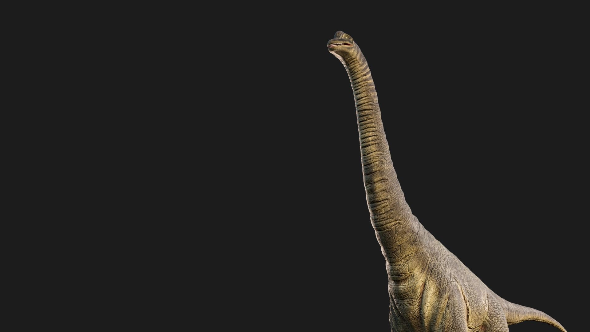 3D model Brachiosaurus 3D Model - Realistic and Versatile 3D model VR ...