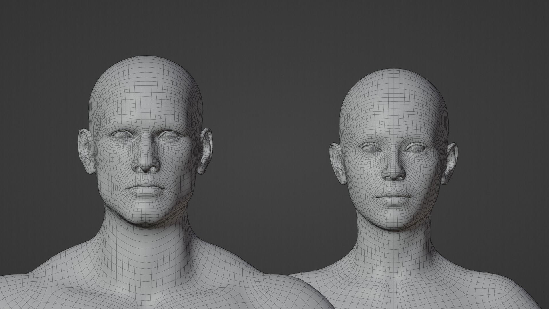 Male and Female human anatomy 3D model | CGTrader